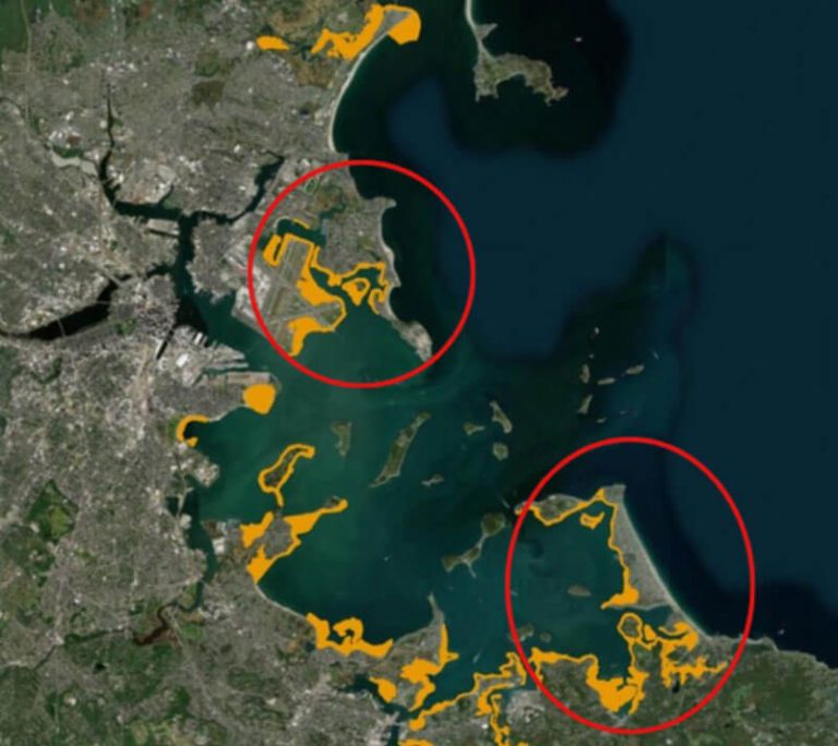Recreational Shellfishing Returns to Boston Harbor - New England Boating